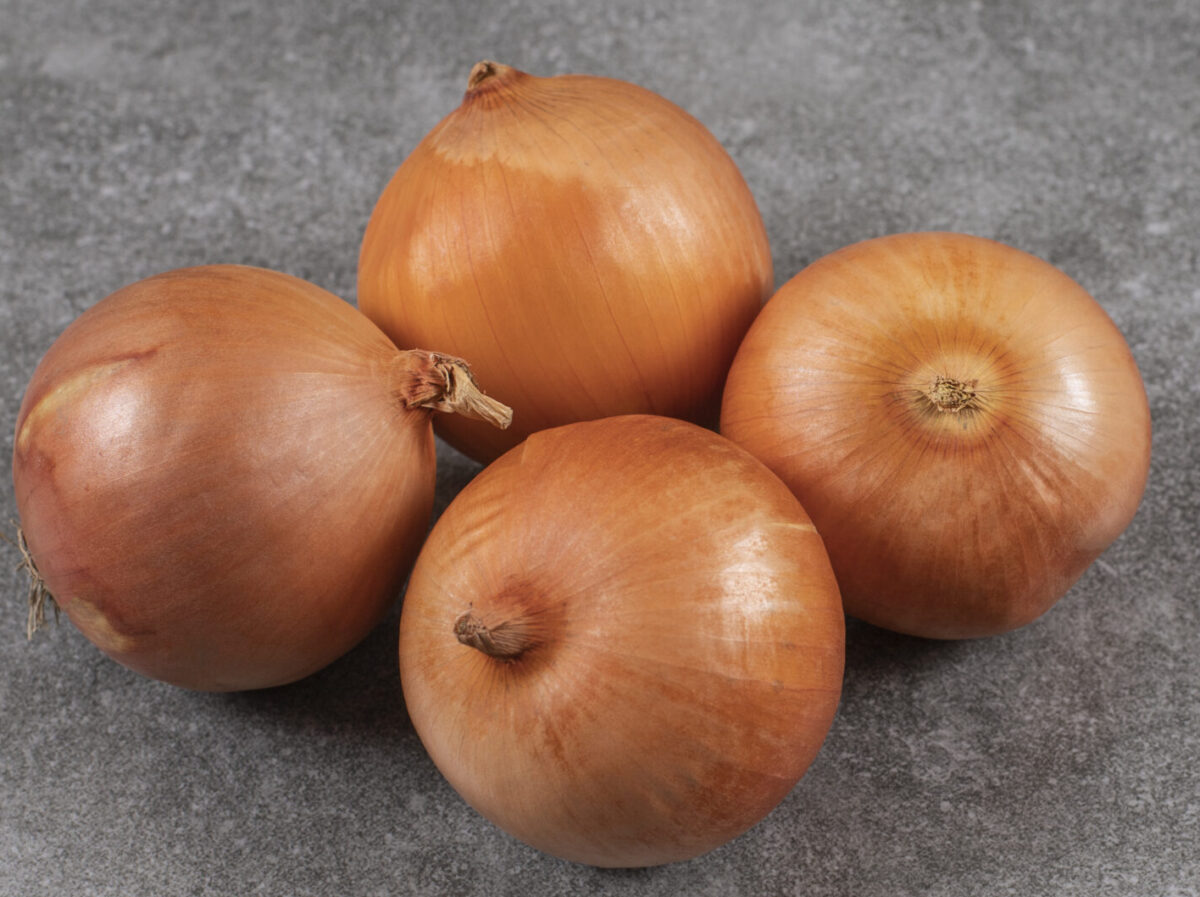 YELLOW & GOLDEN ONIONS - ASOM EXPO