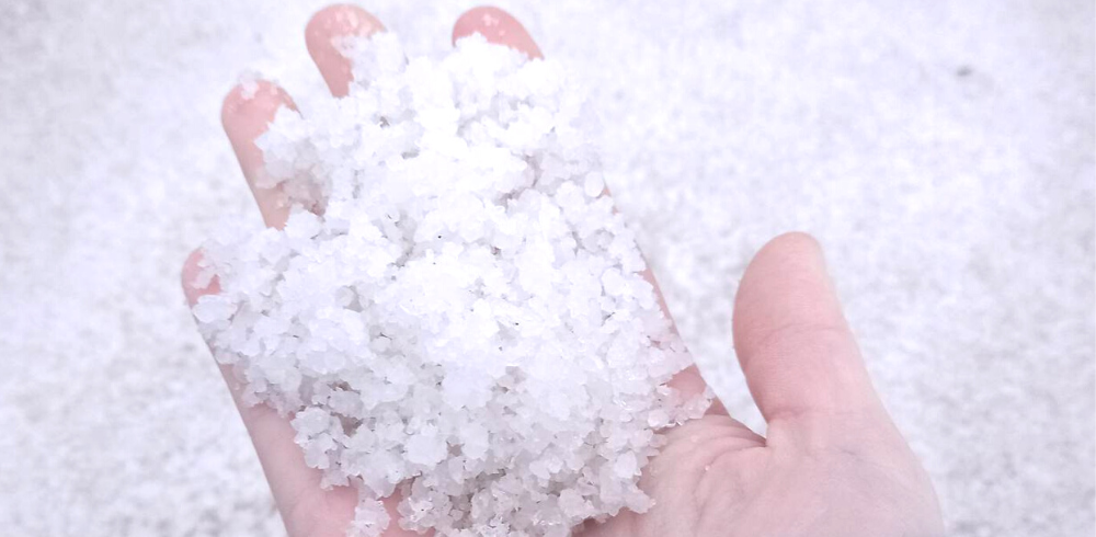 RAW SALT - ASOM EXPO